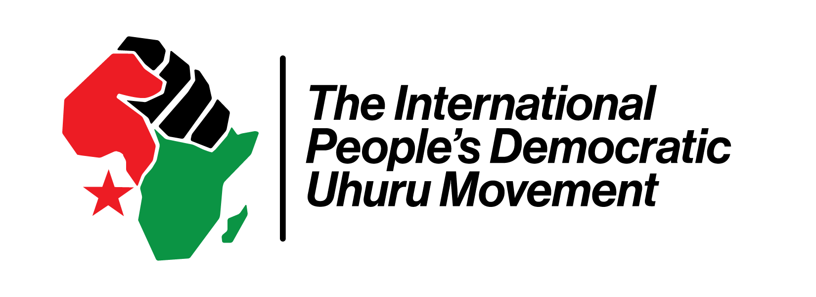 The InPDUM International Executive Committee - InPDUM